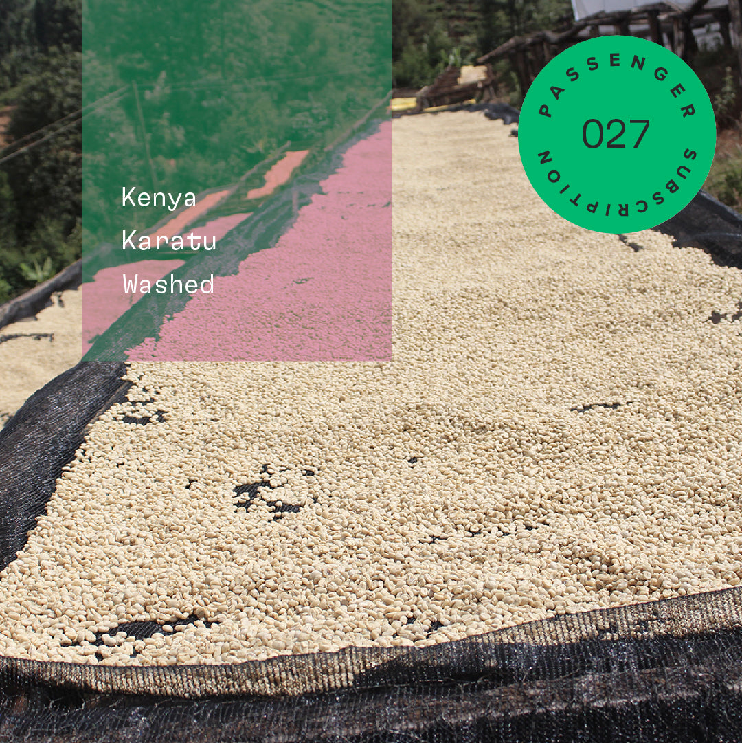 Karatu – Ozone Coffee NZ