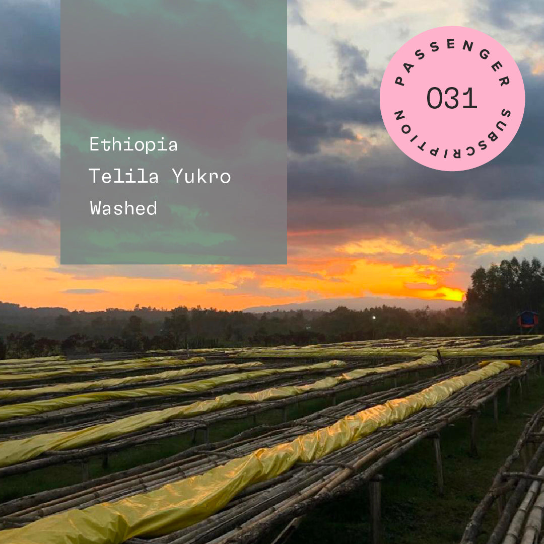 Telila Yukro – Ozone Coffee NZ