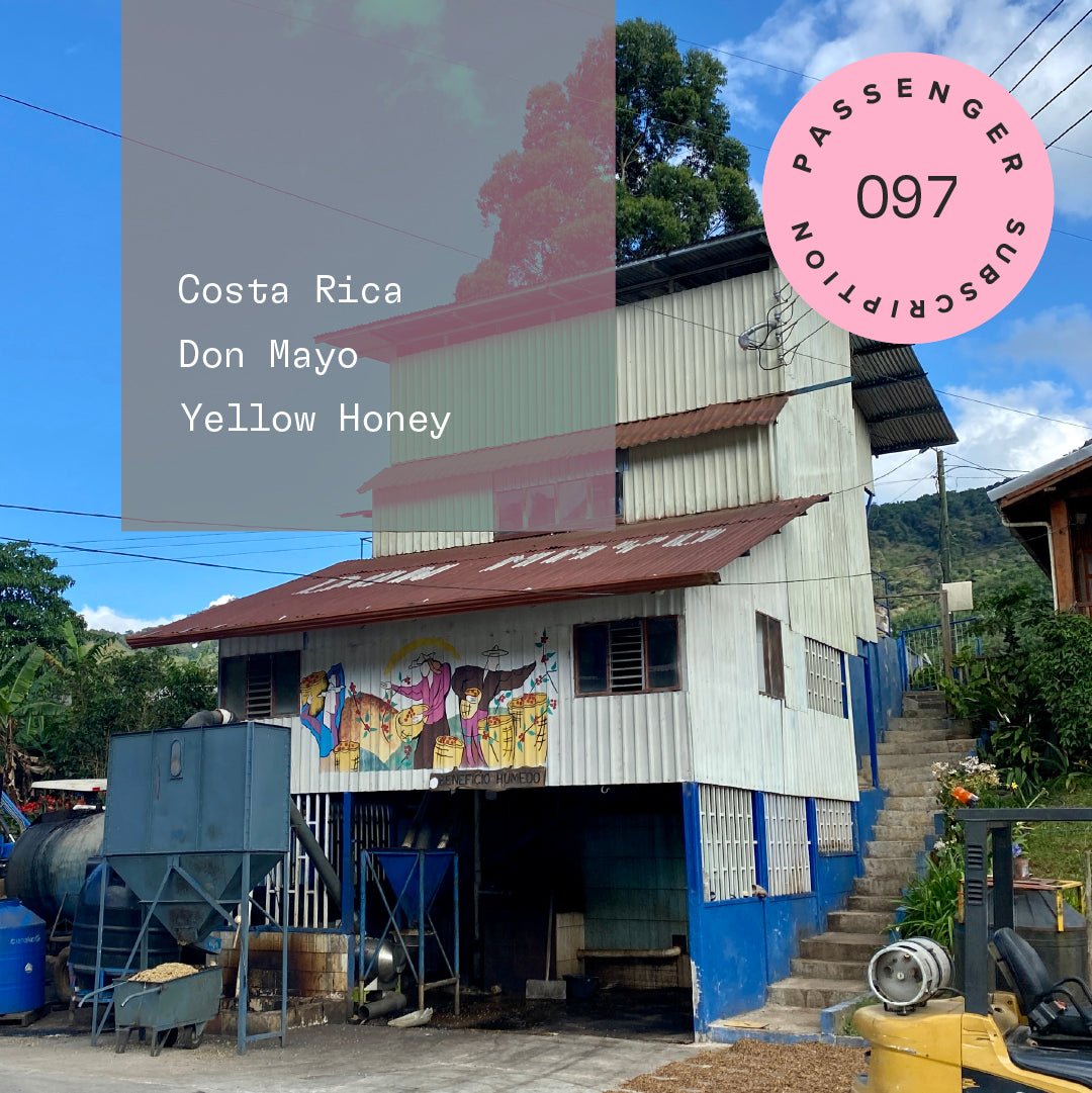 Don Mayo – Ozone Coffee NZ