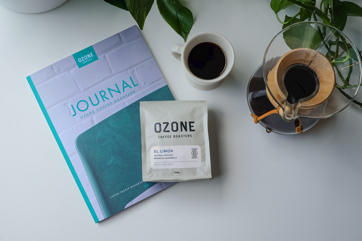 Ozone Coffee | Specialty Coffee Roasters